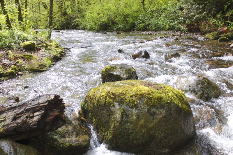 Ganges Stream and Waterfall Stock Photo - Image of remote, source: 929736