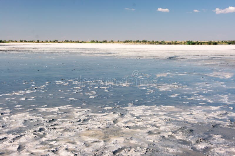 Salty lake stock image. Image of bathing, mire, nourishing - 14191023