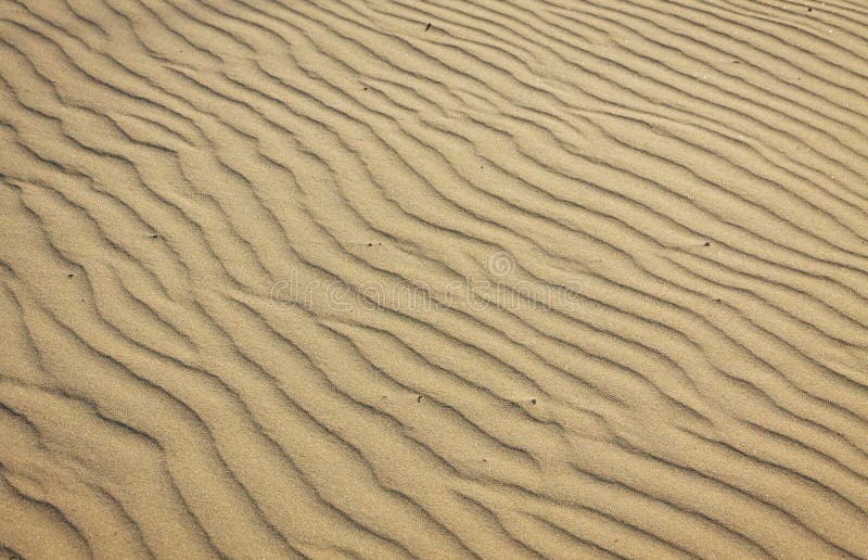 Small Sand Dunes on the Beach Stock Image - Image of nature, rough ...