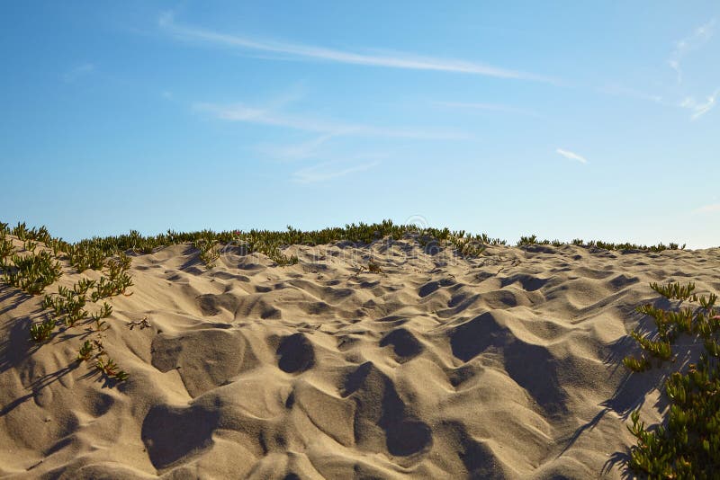 Small sand dunes on beach. stock image. Image of sunlight - 71951149