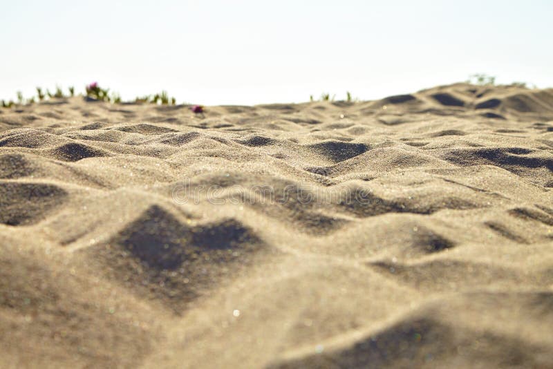 Small sand dunes on beach. stock image. Image of sunlight - 71951149