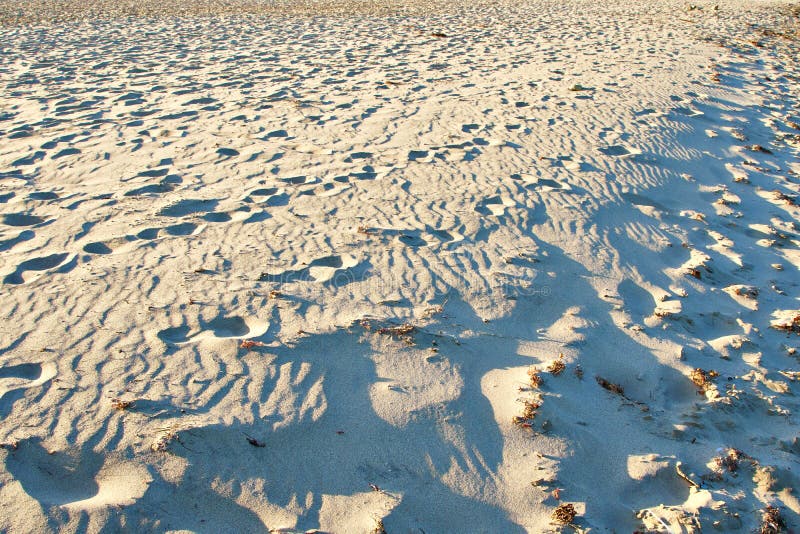 Small sand dunes on beach. stock photo. Image of landscape - 77094538