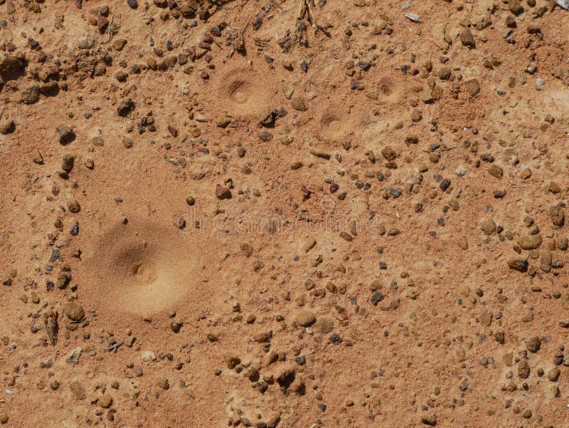 Small Sandstones are Scattered among Stock Image - Image of sandstones ...