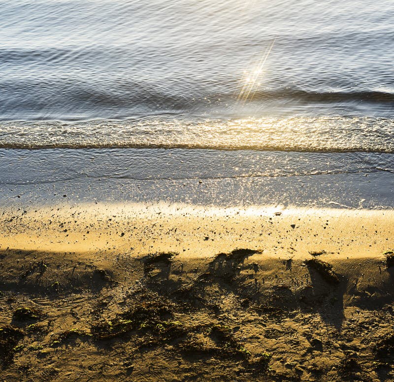 Small Sandy Beach with Seaweed Stock Photo - Image of abstract ...