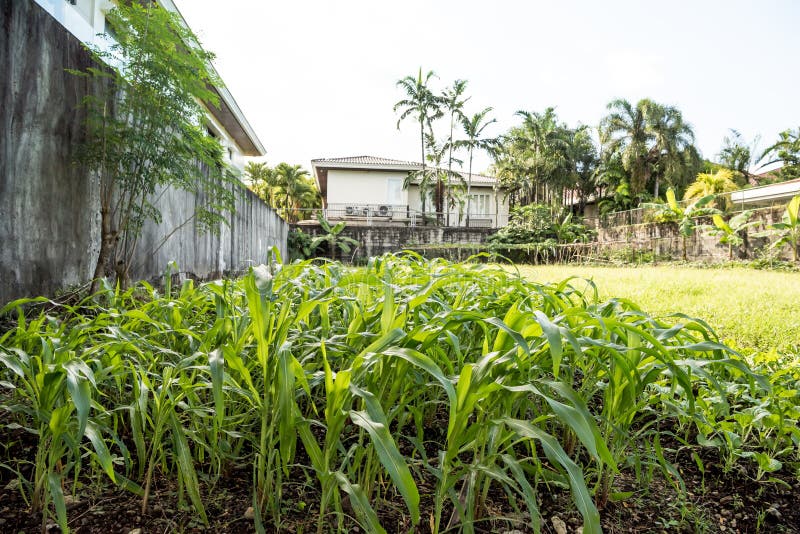 1,641 Empty Plot Stock Photos - Free & Royalty-Free Stock Photos from ...