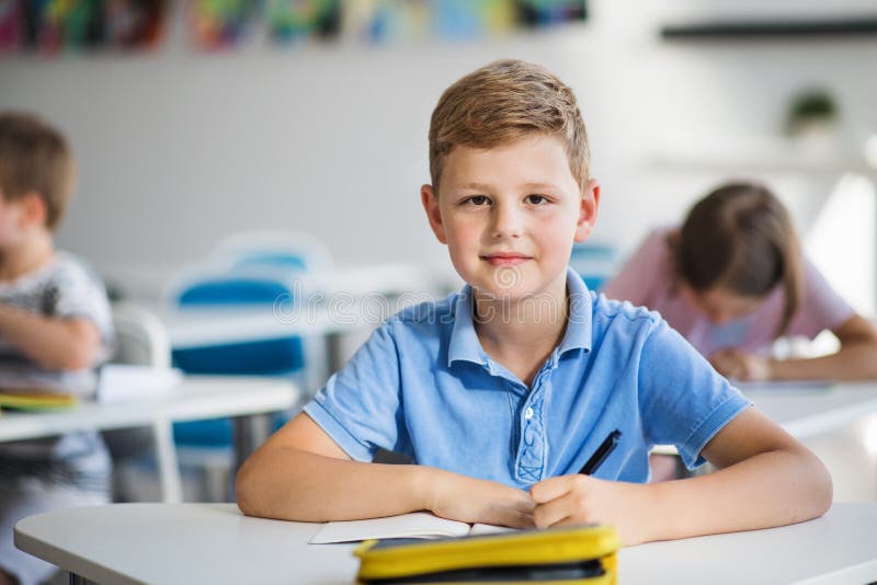 A Small School Boy Sitting at the Desk in Classroom on the Lesson ...