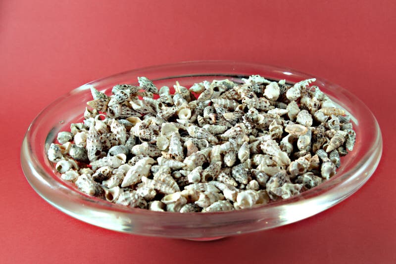 Small Sea Shells in a Glass Jar Stock Image - Image of small, ocean ...