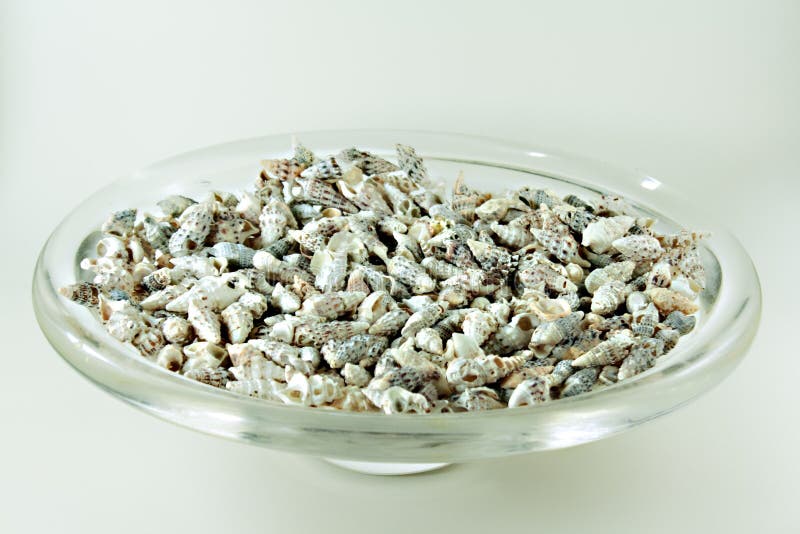 Small Sea Shells in a Glass Jar Stock Photo - Image of glass, back ...