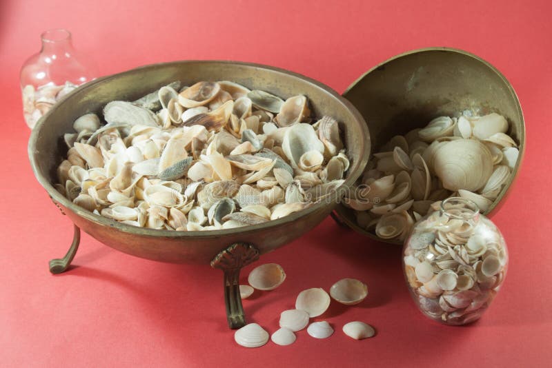 Small Sea Shells Glass Jars Stock Photos - Free & Royalty-Free Stock ...