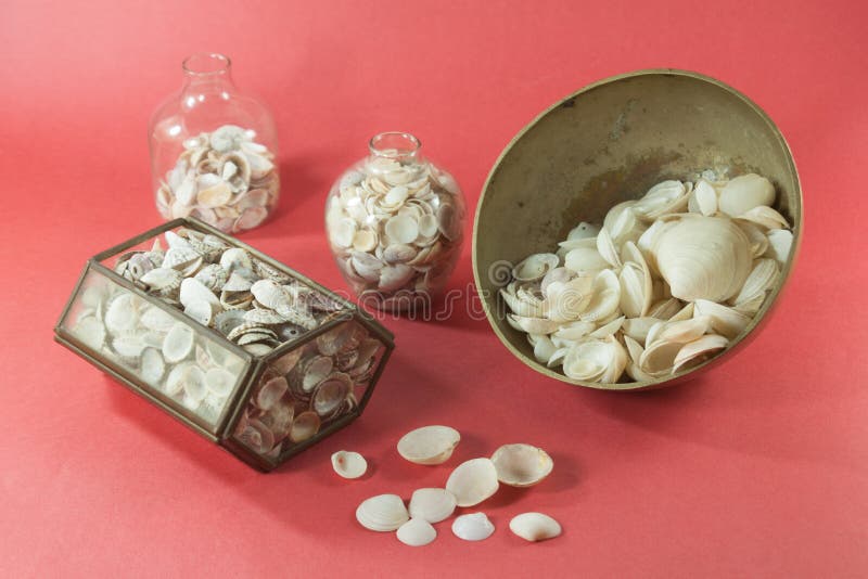 Small Sea Shells In Glass Jars Stock Image - Image of glass, jars: 55246807
