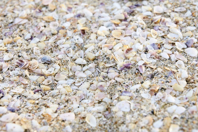 Bright Sand Formations on the Beach, Cape Verde Stock Photo - Image of ...