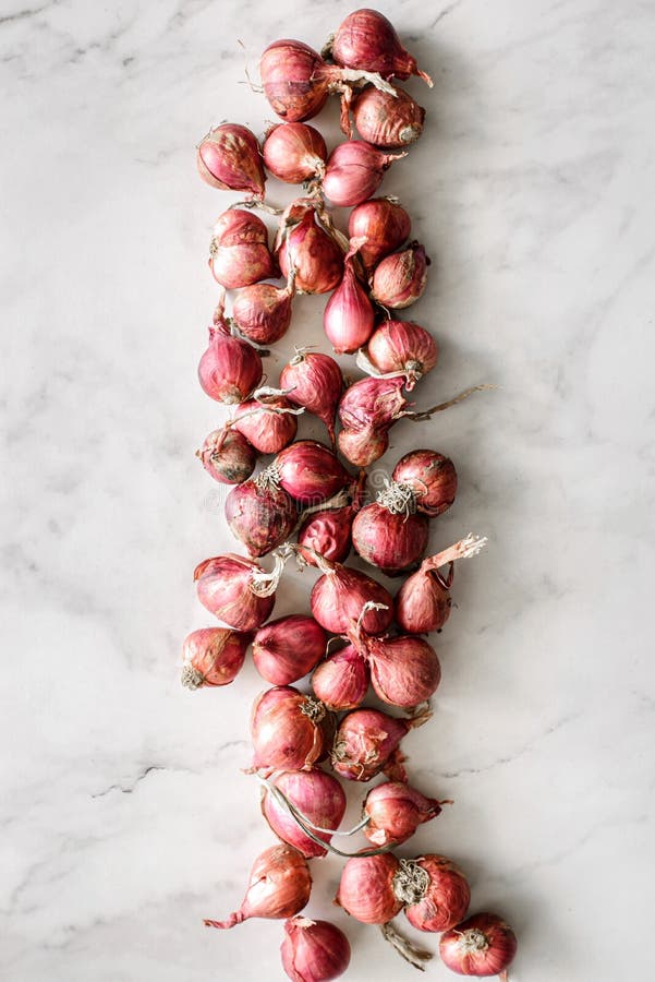 Small Shallots on a Light Background Stock Photo - Image of long ...