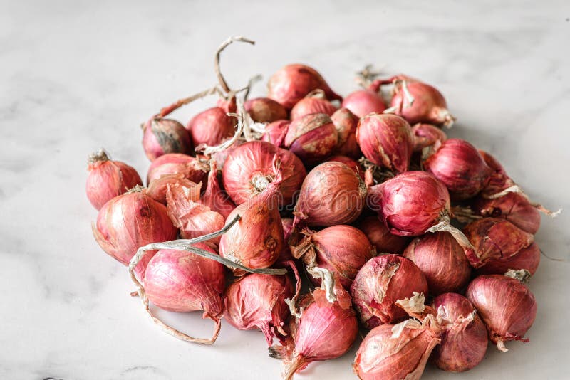 Small Shallots on a Light Background Stock Photo - Image of french ...