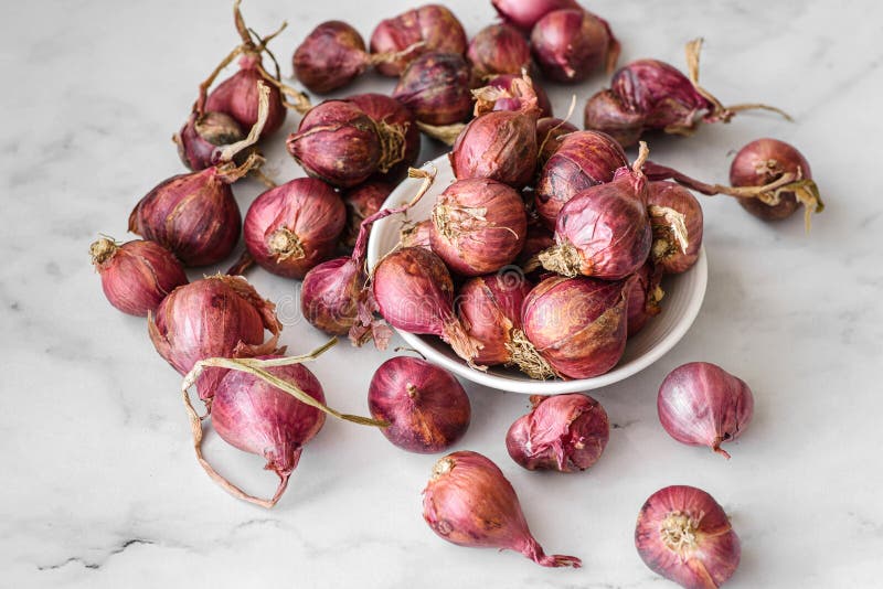 Small Shallots on a Light Background Stock Image - Image of dutch ...