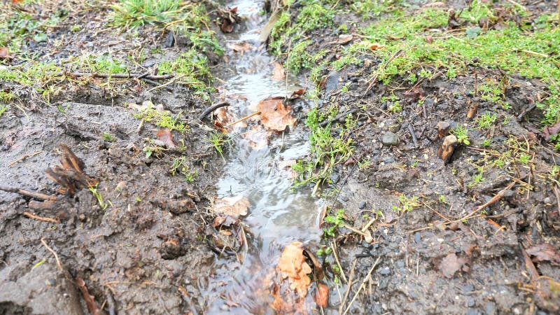Small and Shallow Rainwater Drainage Stream in a Park, with Grass and ...