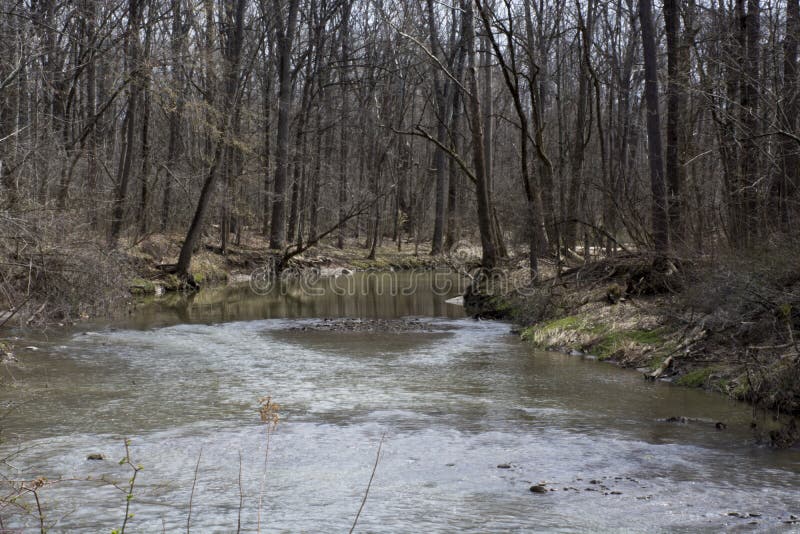 Forest in Early Fall stock image. Image of color, scene - 7135339