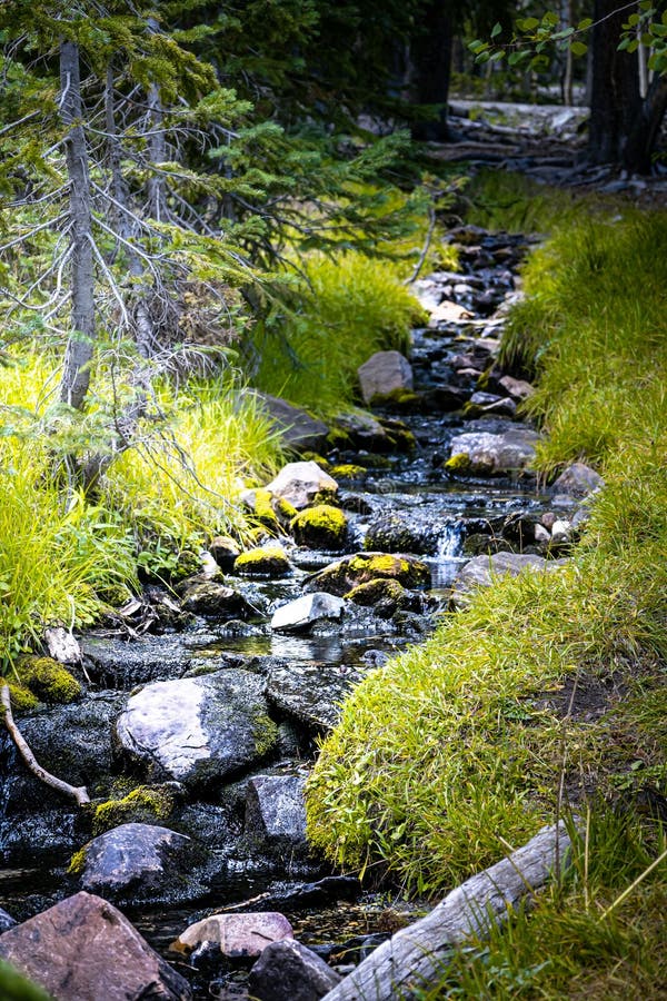 A Small Shallow Stream in the Mountains in the Summer Stock Photo ...