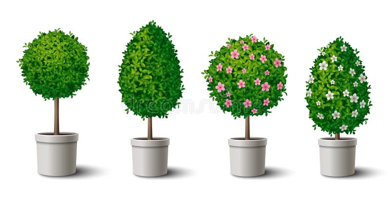 Trees Realistic Set stock vector. Illustration of potted - 289025687