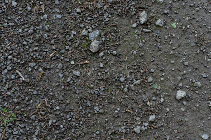 Small Sharp Rocks in Dirty Mud Ground Texture with Small Wooden Sticks ...