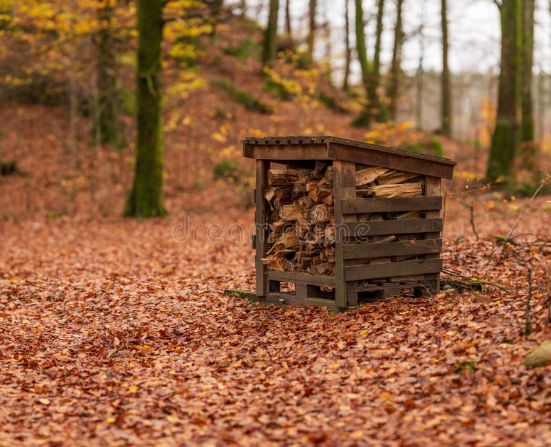 Small Shed for Fire Wood in a Forest.. Stock Image - Image of light ...