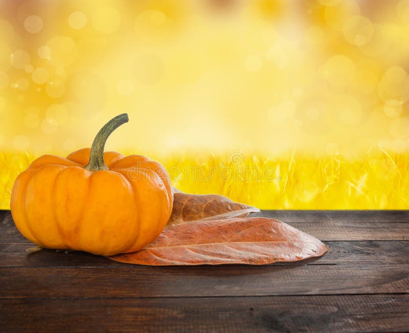 Shiny Pumpkin 2 stock image. Image of fancy, seasonal - 33656249