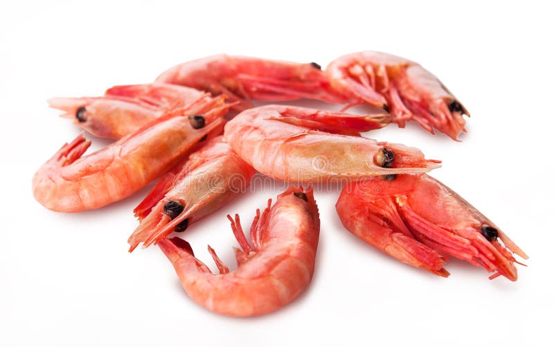 Shrimp stock image. Image of cooking, natural, rukola - 15042553