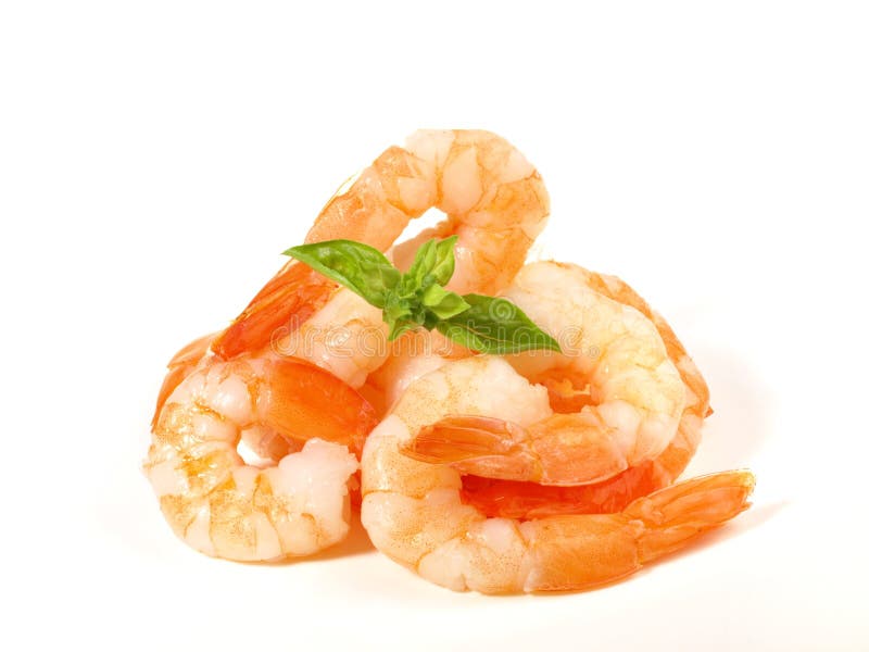 Small Shrimp - Shrimps stock photo. Image of macro, fresh - 152376852
