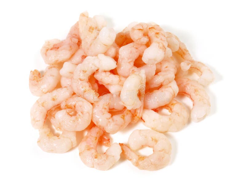 Small Shrimp - Shrimps stock image. Image of healthy - 146824297