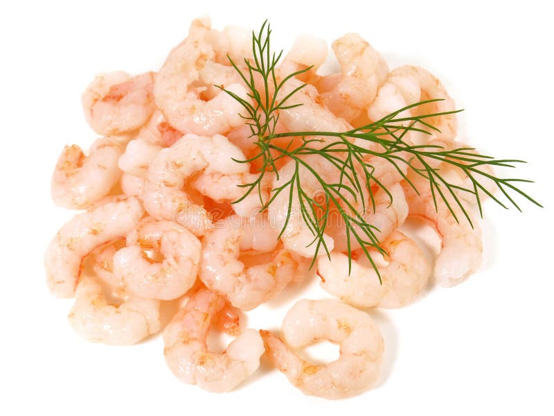 Small Shrimp - Shrimps stock photo. Image of isolated - 152336820