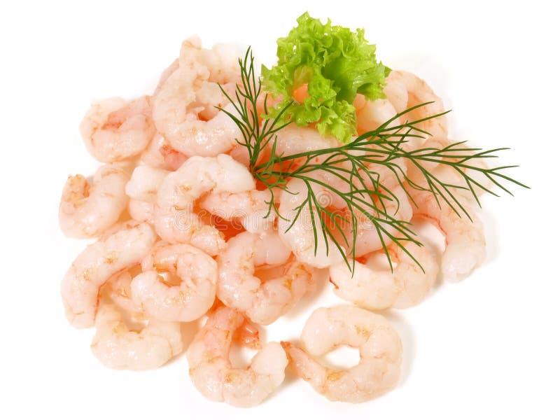 Small Shrimp - Shrimps stock image. Image of organic - 210986193