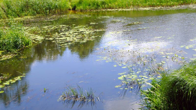 Small, silent river stock photo. Image of blue, natural - 97837332