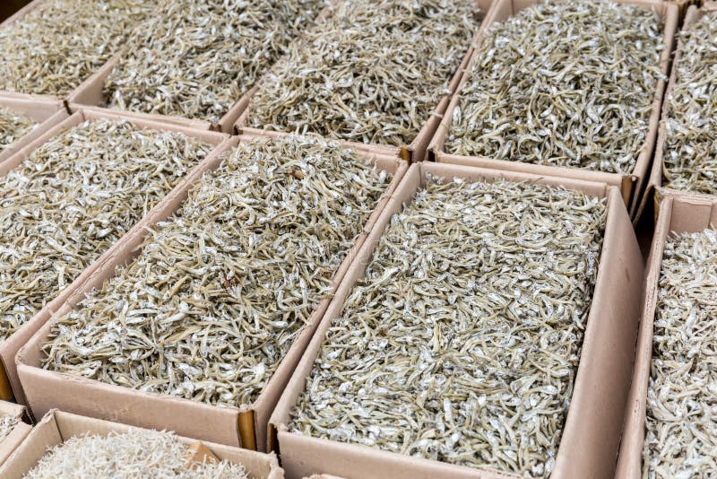 Small silver dried fish stock image. Image of pile, salt - 36601377
