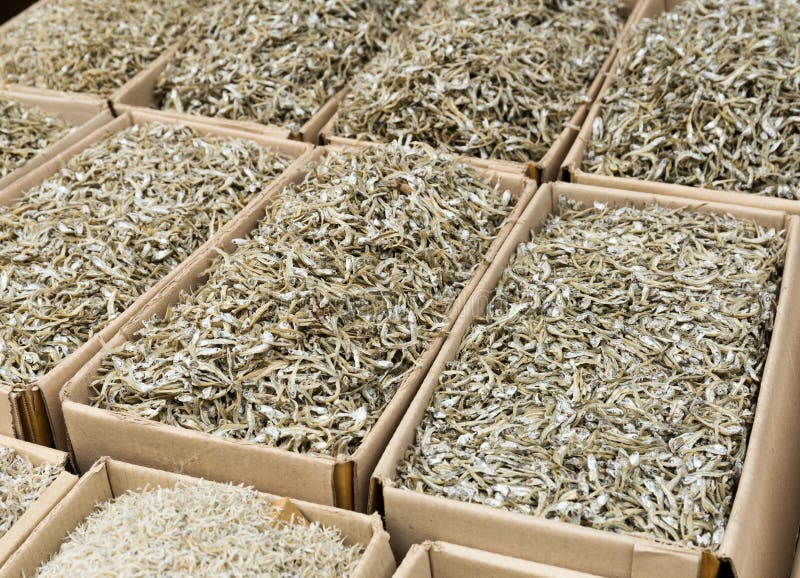 Small silver dried fish stock image. Image of stack, preserved - 35721605