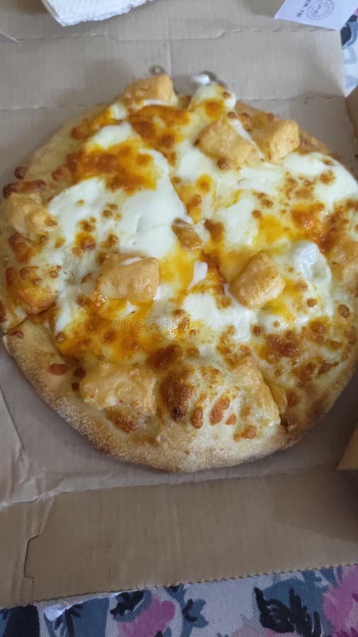 Small sized paneer pizza stock photo. Image of vegetable - 259802640