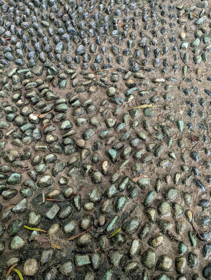 Small Sized Pebbles Neatly Arranged Stock Photo - Image of sized, small ...