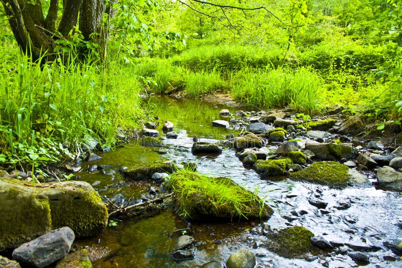 Small Slow Flowing River in Bavaria in Spring Stock Photo - Image of ...