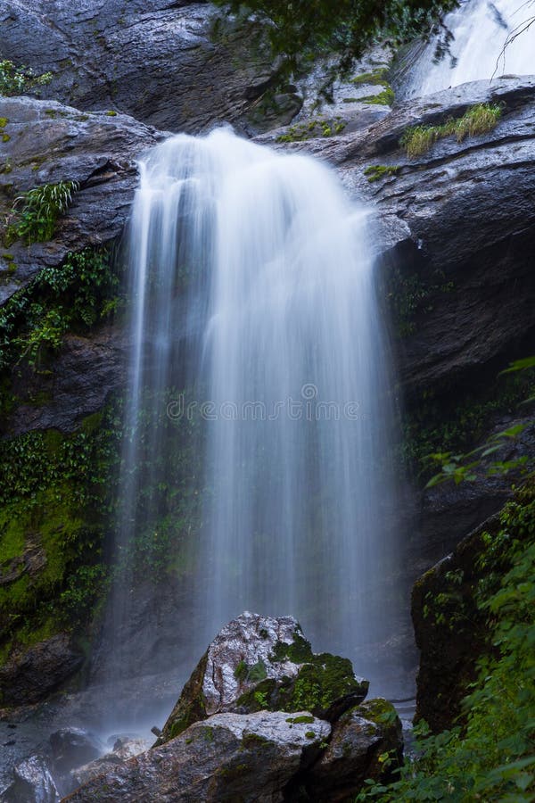 A Cup of Hot Tea. Hot Smoky Tea Water in Clear Glass, with Cinnamon and ...