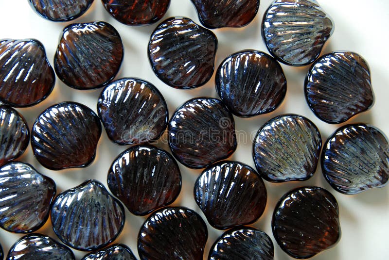 Glass shells stock photo. Image of life, transparent - 12221696