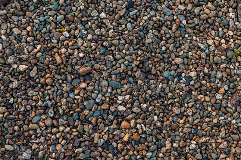 Small Smooth Waterworn Pebbles, Stones for Use Decor and Garden ...