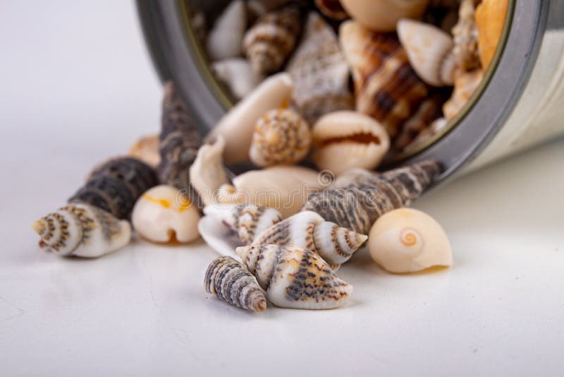 Aluminum can at Salton Sea stock photo. Image of environment - 49178058