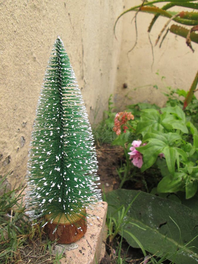A Small Snow Covered Christmas Tree. Stock Image - Image of tree, green ...