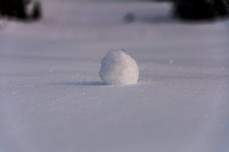 Small Snowball on the Snow Surface Stock Image - Image of snowball ...