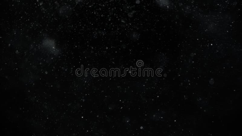 Small Snowflakes Falling Towards the Camera in Front of a Black Screen ...
