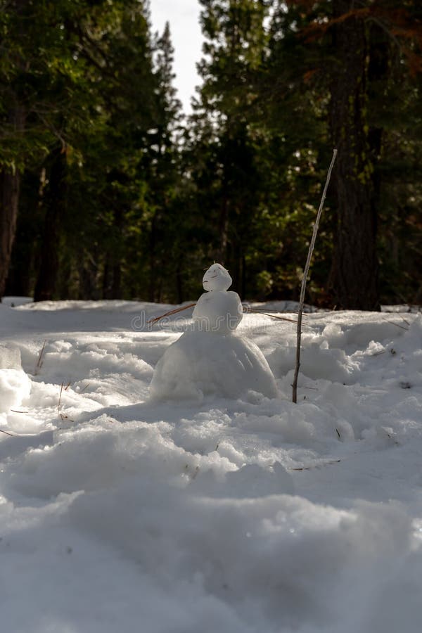 A Small, Snowman Shaped Prickly Pear Cactus In The Arizona Desert Stock ...