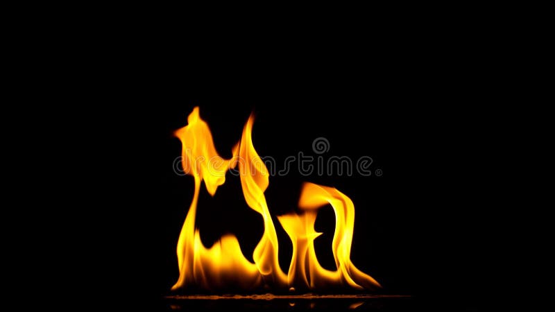 Small Solo Fire Isolated on Black Background Stock Photo - Image of ...