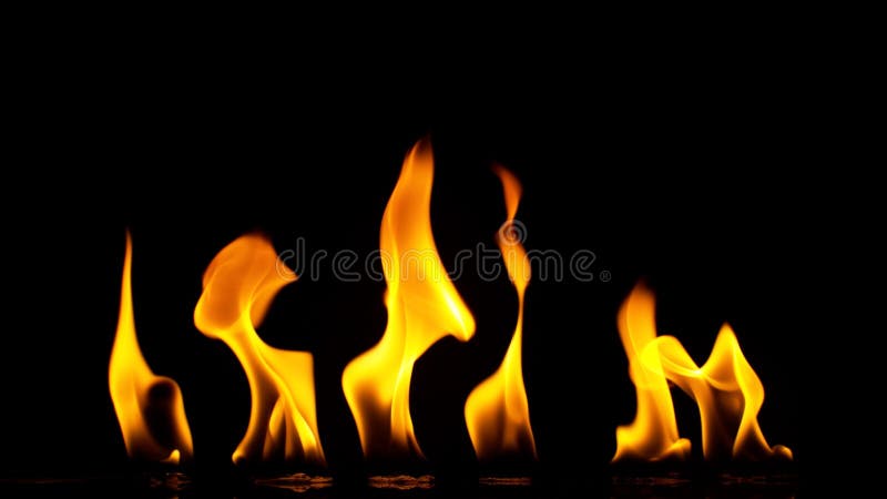Small Solo Fire Isolated on Black Background Stock Photo - Image of ...