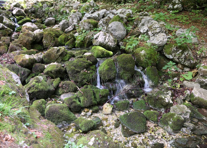 Source of Pure Fresh Water in the Mountains Stock Photo - Image of ...