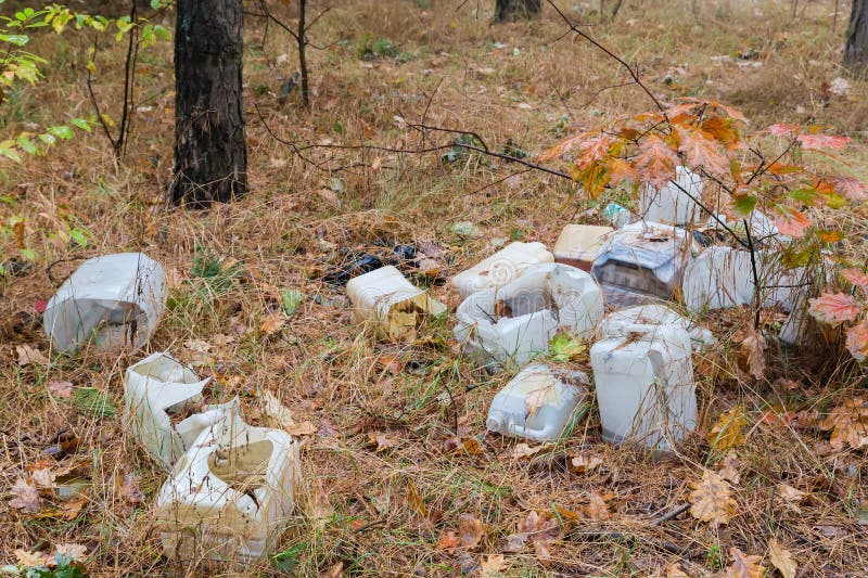 Small Spontaneous Dump in Autumn Forest in Overcast Morning Stock Image ...