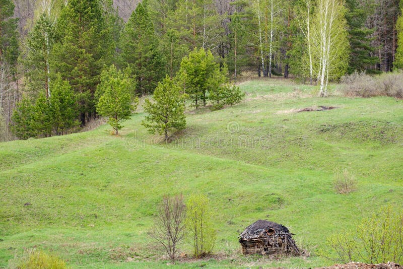 A Small Sprawling Hut in a Field among the Trees Stock Image - Image of ...