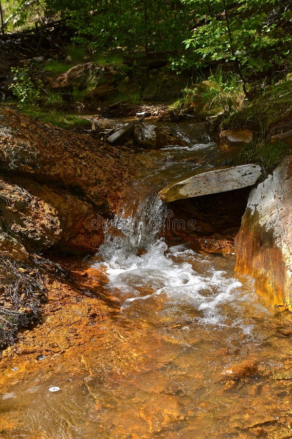 A Small Spring Fed Mountain Stream Creates a Tiny Waterfall. Stock ...